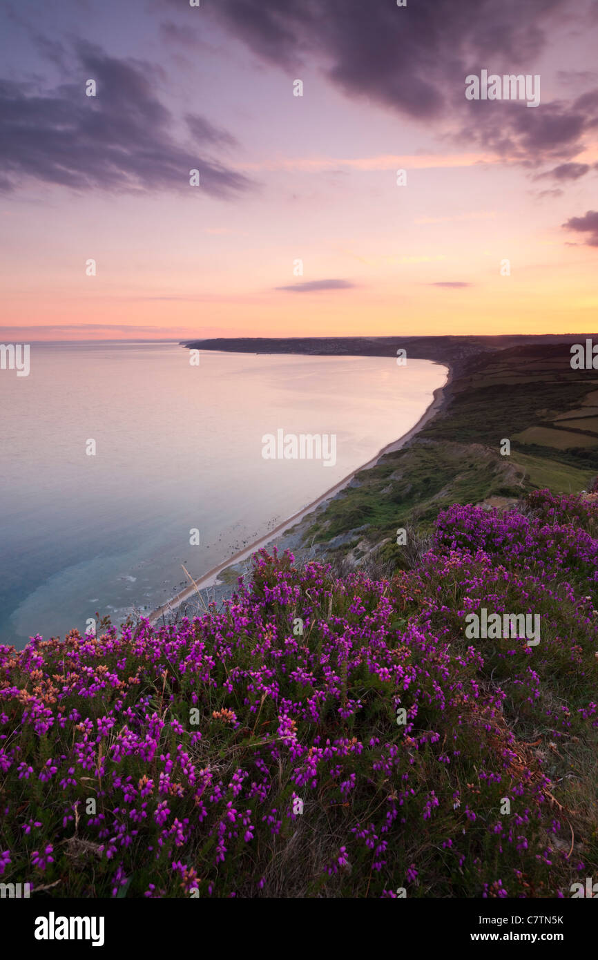 Twilight from Golden Cap, looking west over the Dorset Coast. Summer ...