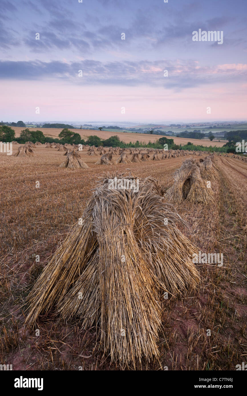 Newbuildings hi-res stock photography and images - Alamy