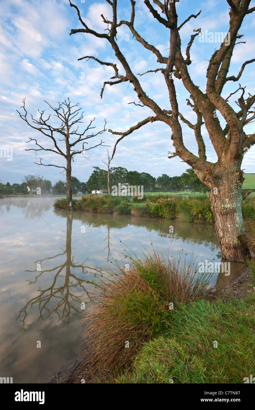 Devon lake hi-res stock photography and images - Alamy