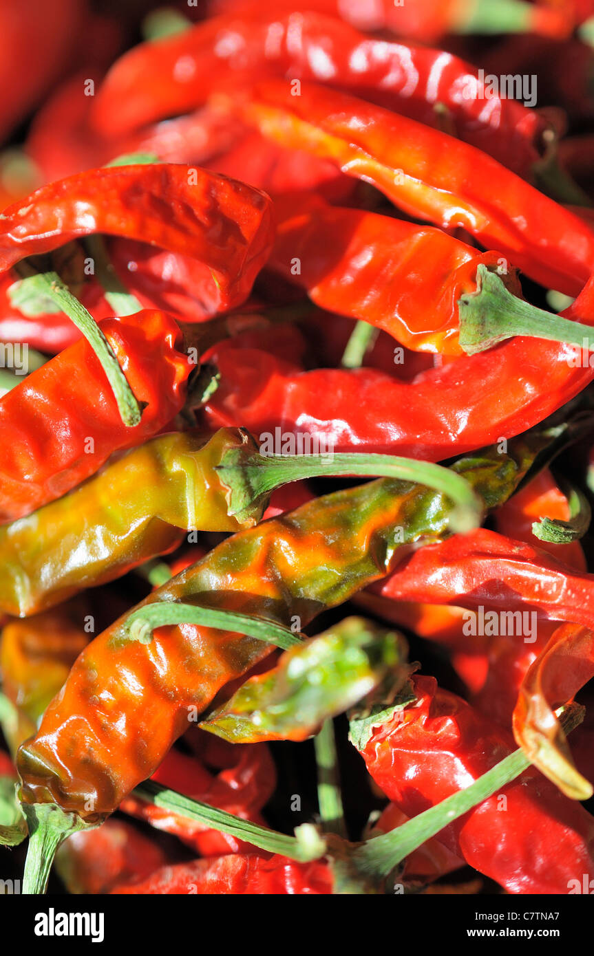 Macro shots hi-res stock photography and images - Alamy