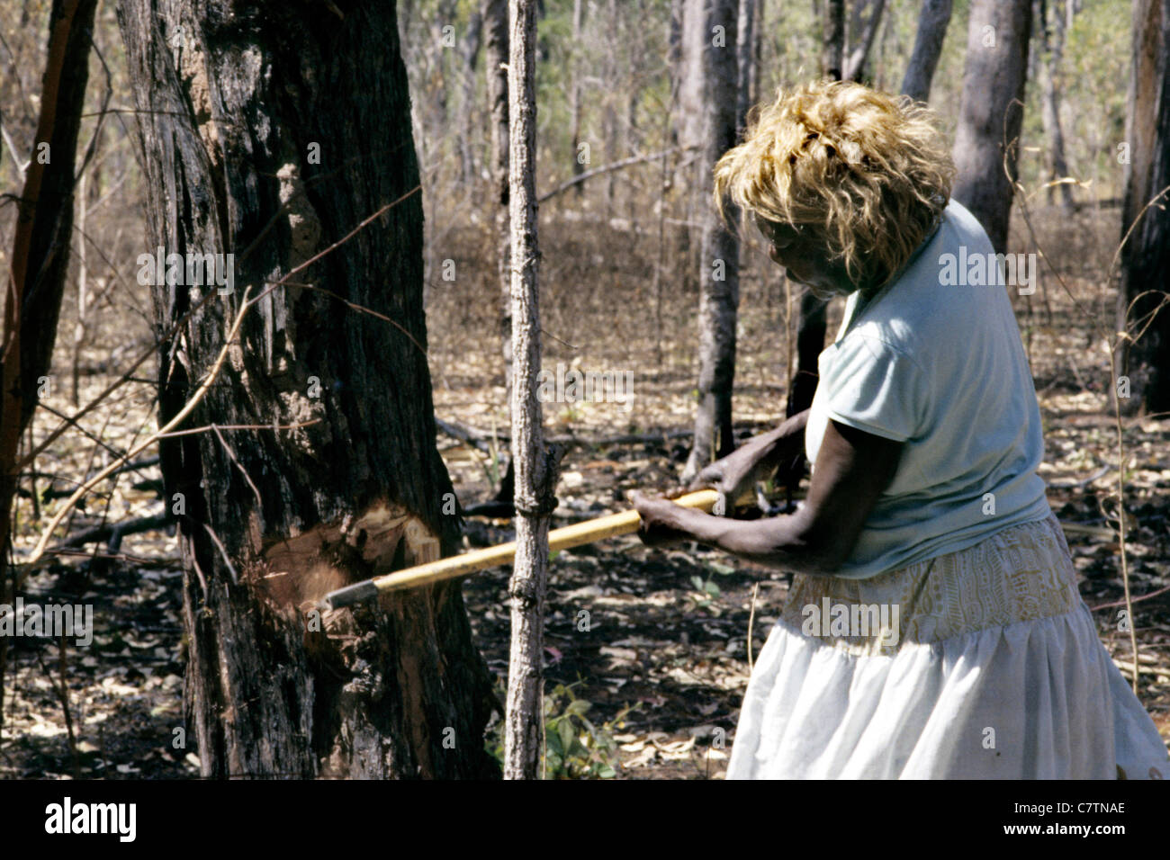 Tiwi People Stock Photos & Tiwi People Stock Images - Alamy
