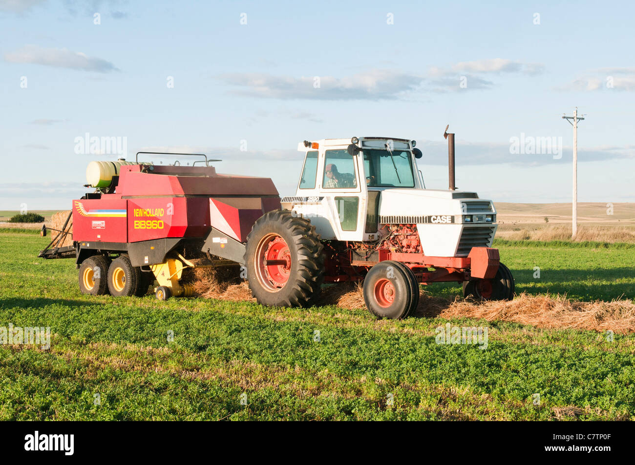 A tractor pulling a baling machine is at work producing square bales in ...