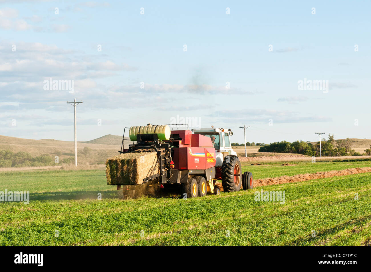 A tractor pulling a baling machine is at work producing square bales in ...