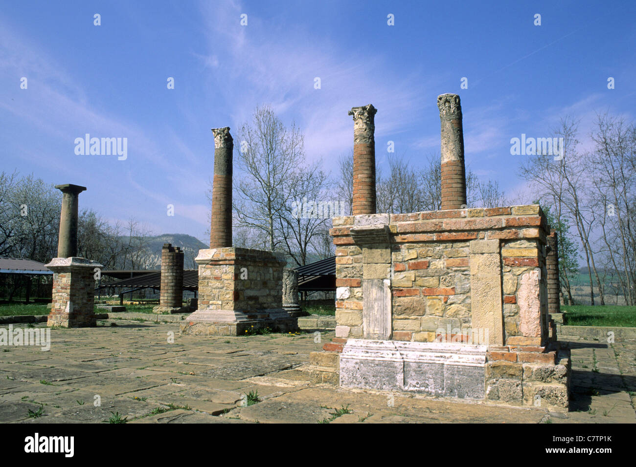 Velleia romana hi-res stock photography and images - Alamy