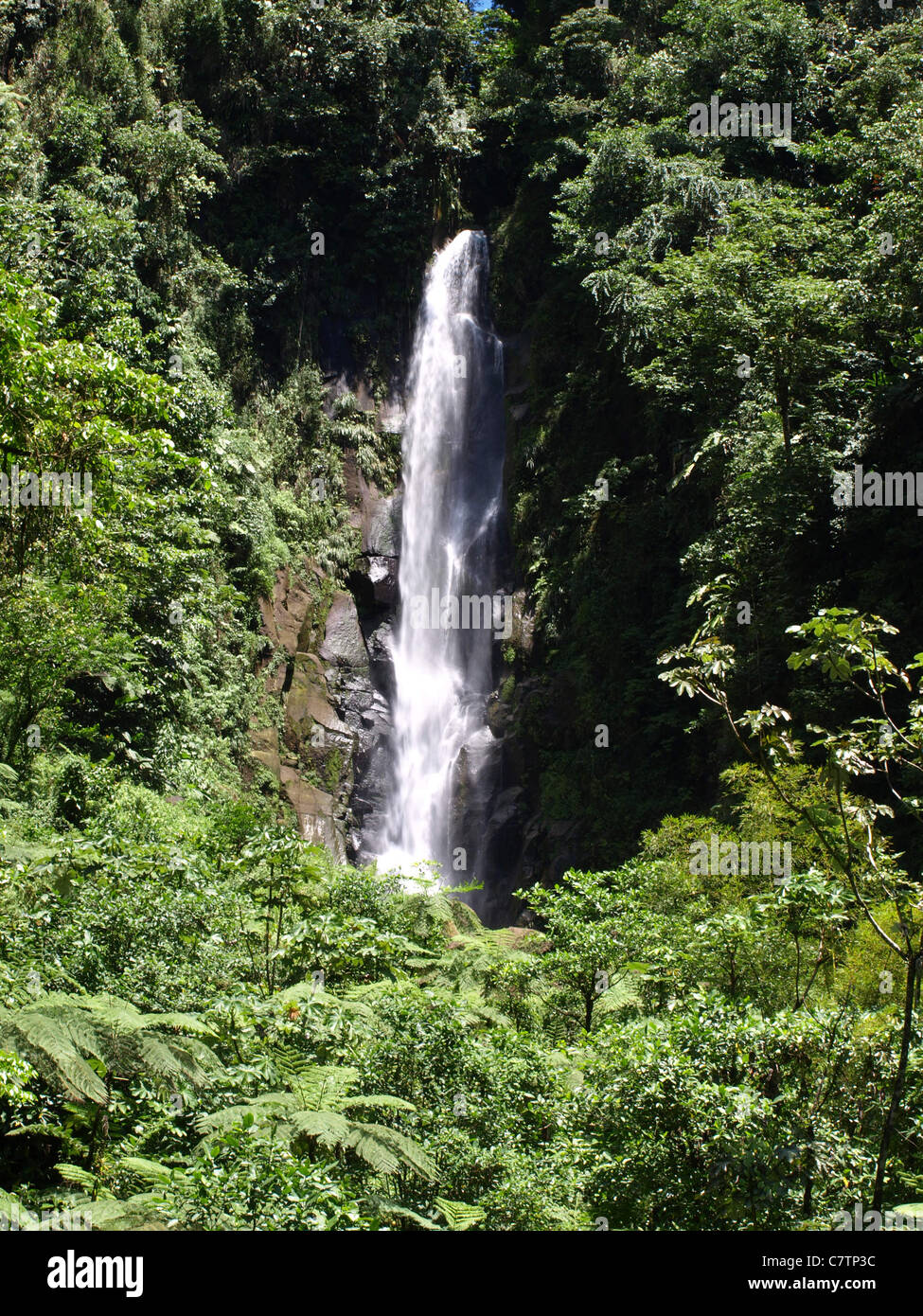 Trafalgar Falls Dominica High Resolution Stock Photography and Images ...