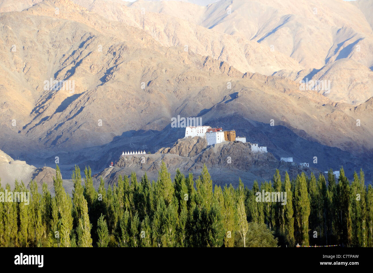 Tikse gompa tiksey ladakh hi-res stock photography and images - Alamy