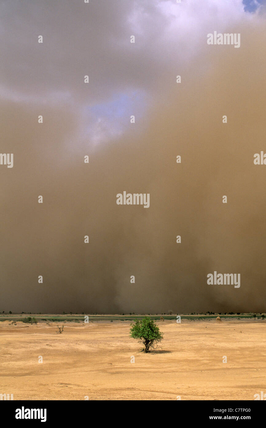 Africa mali sandstorm hi-res stock photography and images - Alamy