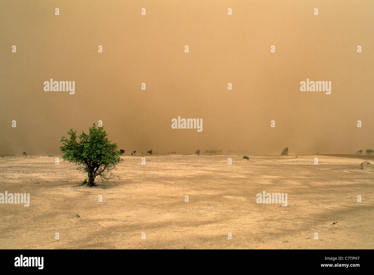 Africa, Mali, sandstorm Stock Photo - Alamy