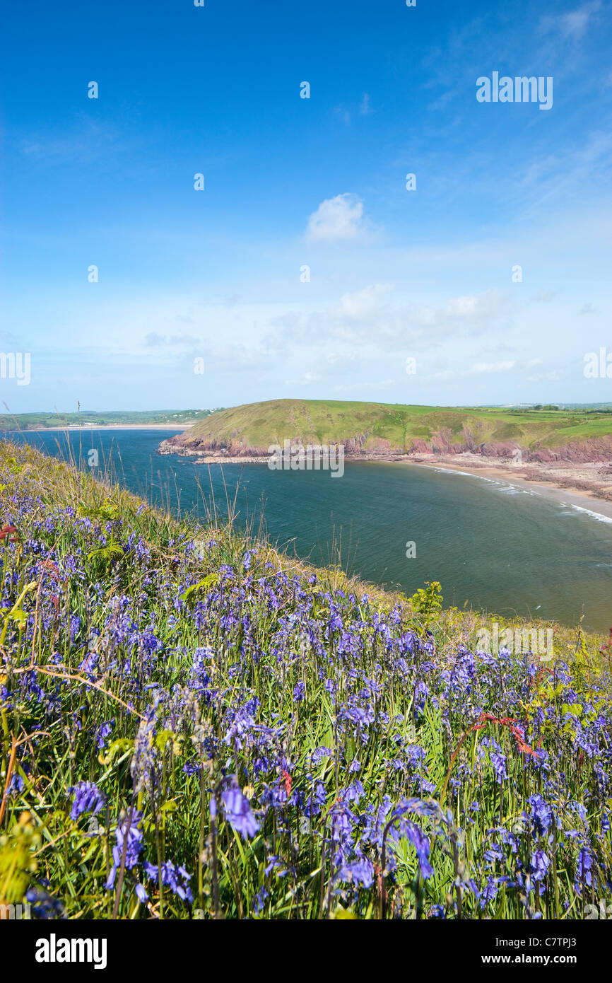Manorbier hi-res stock photography and images - Alamy