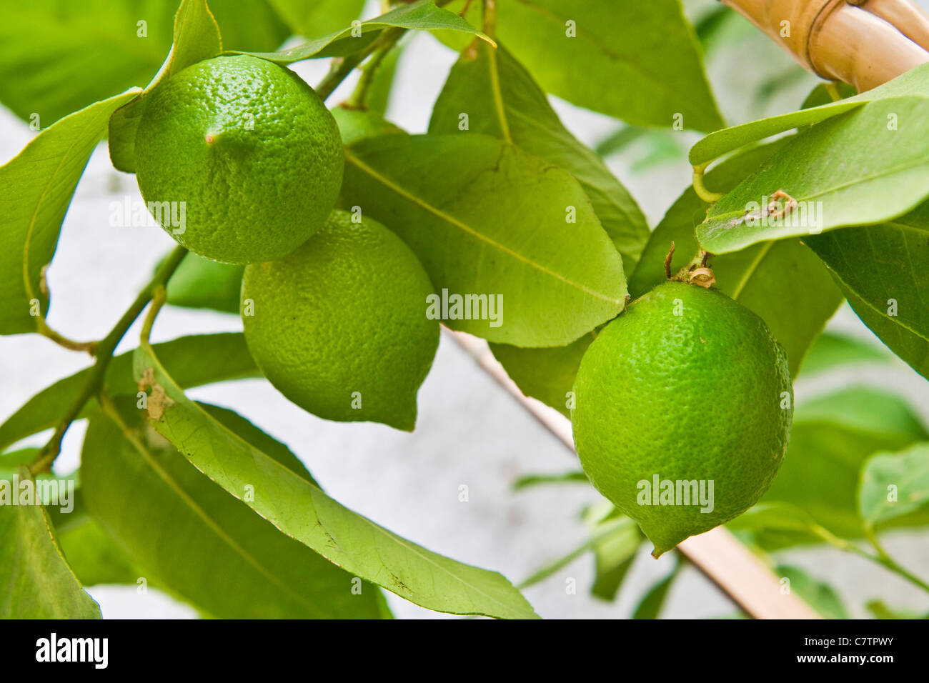Expansion images hi-res stock photography and images - Alamy