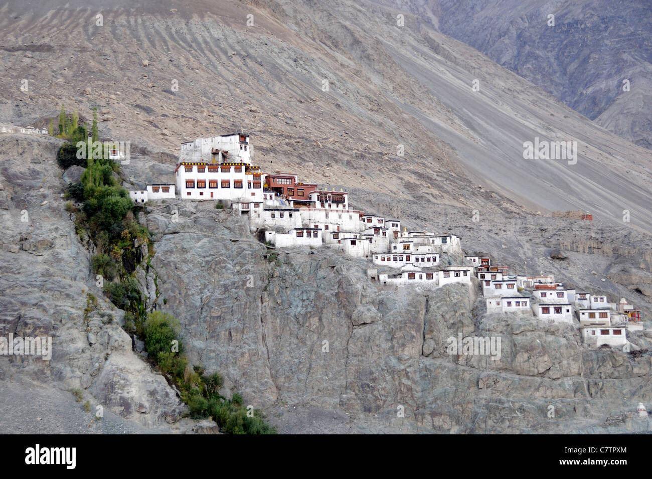 Diskit Monastery, Deskit Gompa, Diskit Gompa on the mountain side above ...