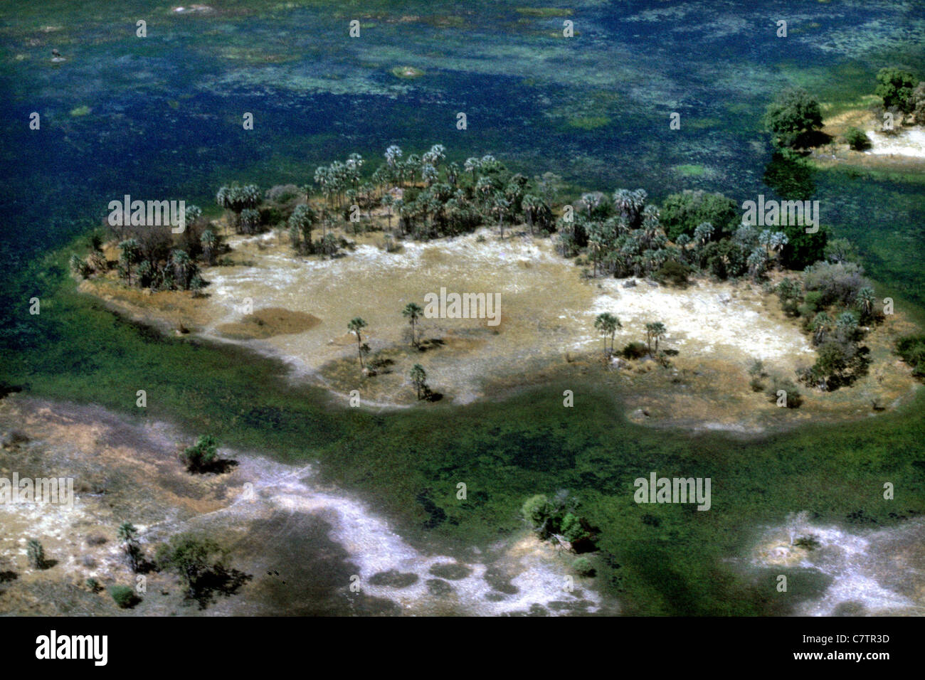 Africa, Botswana, Okavango Delta Stock Photo - Alamy