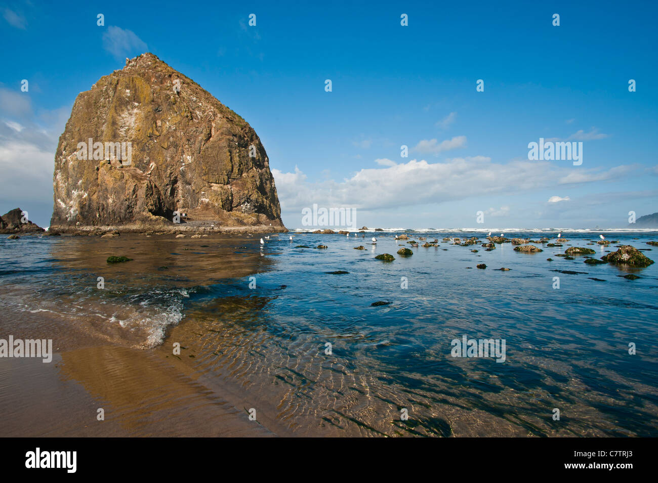 Haystack Rock is a 235-foot (72-meter) sea stack in Cannon Beach ...