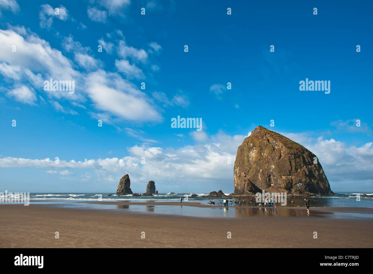 Haystack Rock is a 235-foot (72-meter) sea stack in Cannon Beach ...