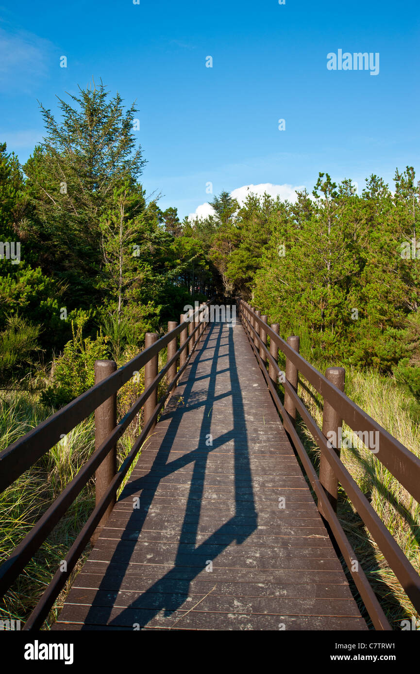 Stand on the observation platform and get an up-close view of the ...