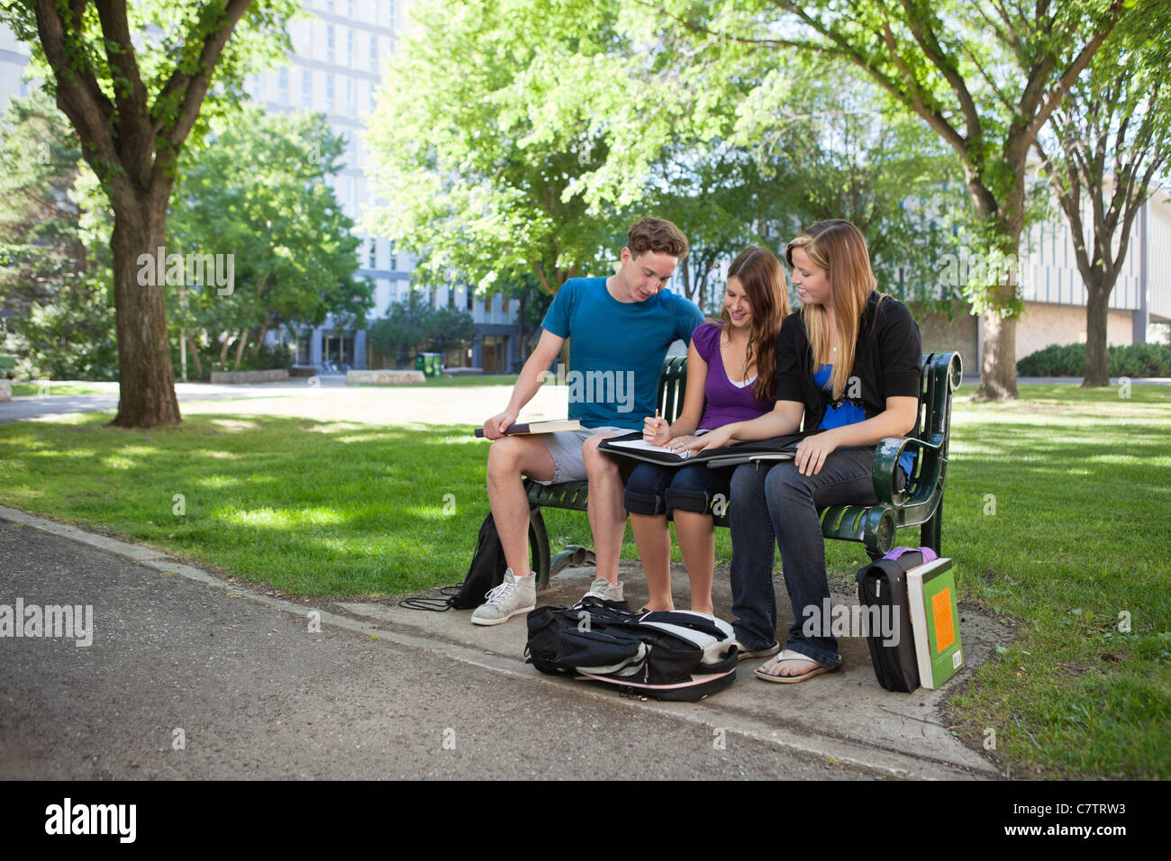 University students working together on a project Stock Photo - Alamy