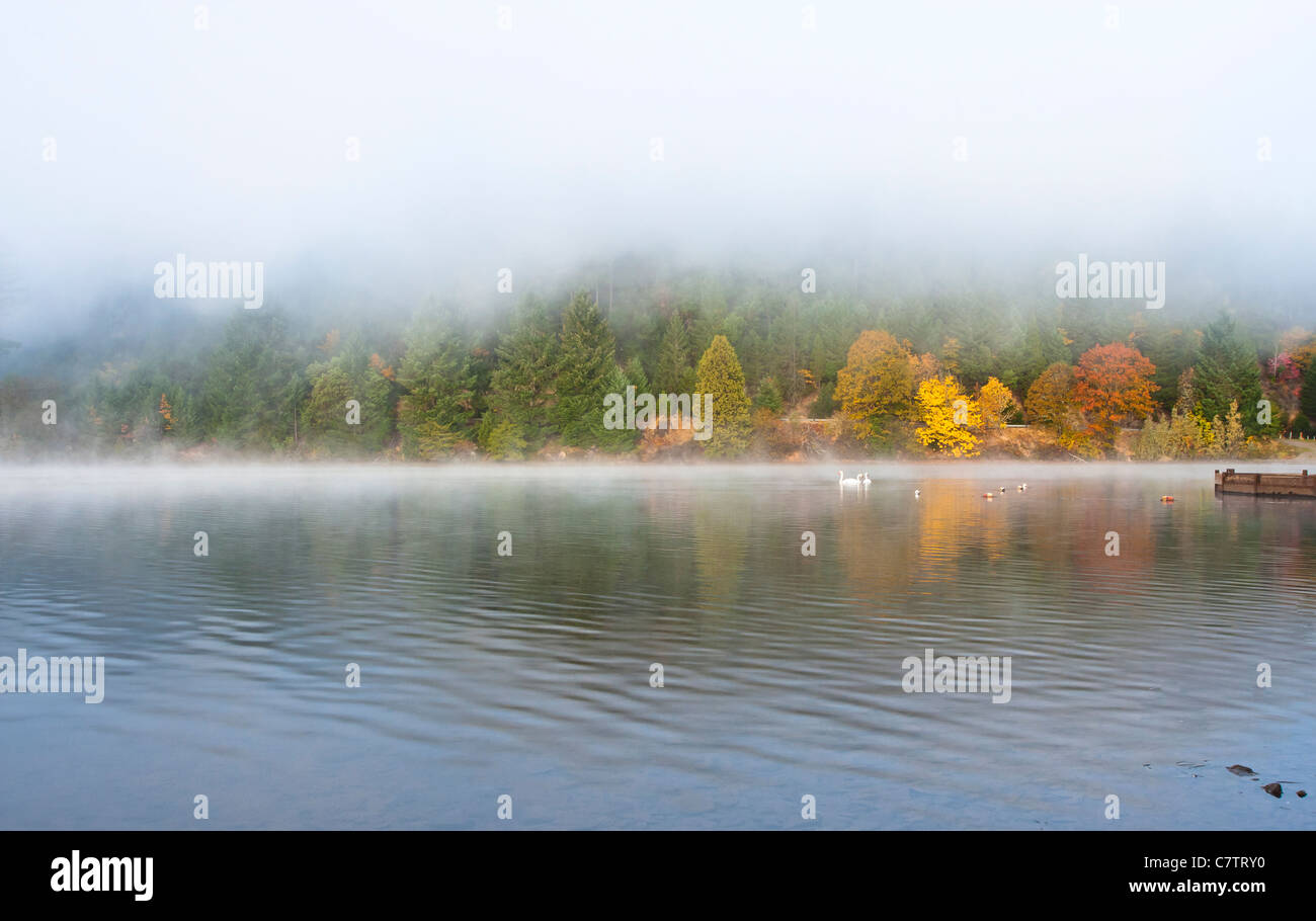 Lake selmac oregon hi-res stock photography and images - Alamy