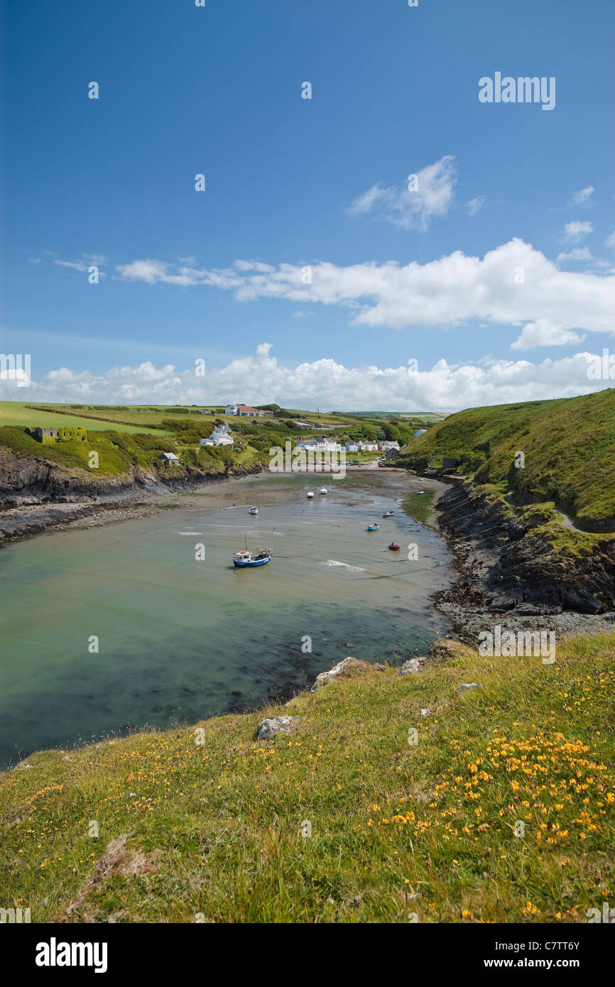 Coast path abercastle hi-res stock photography and images - Alamy