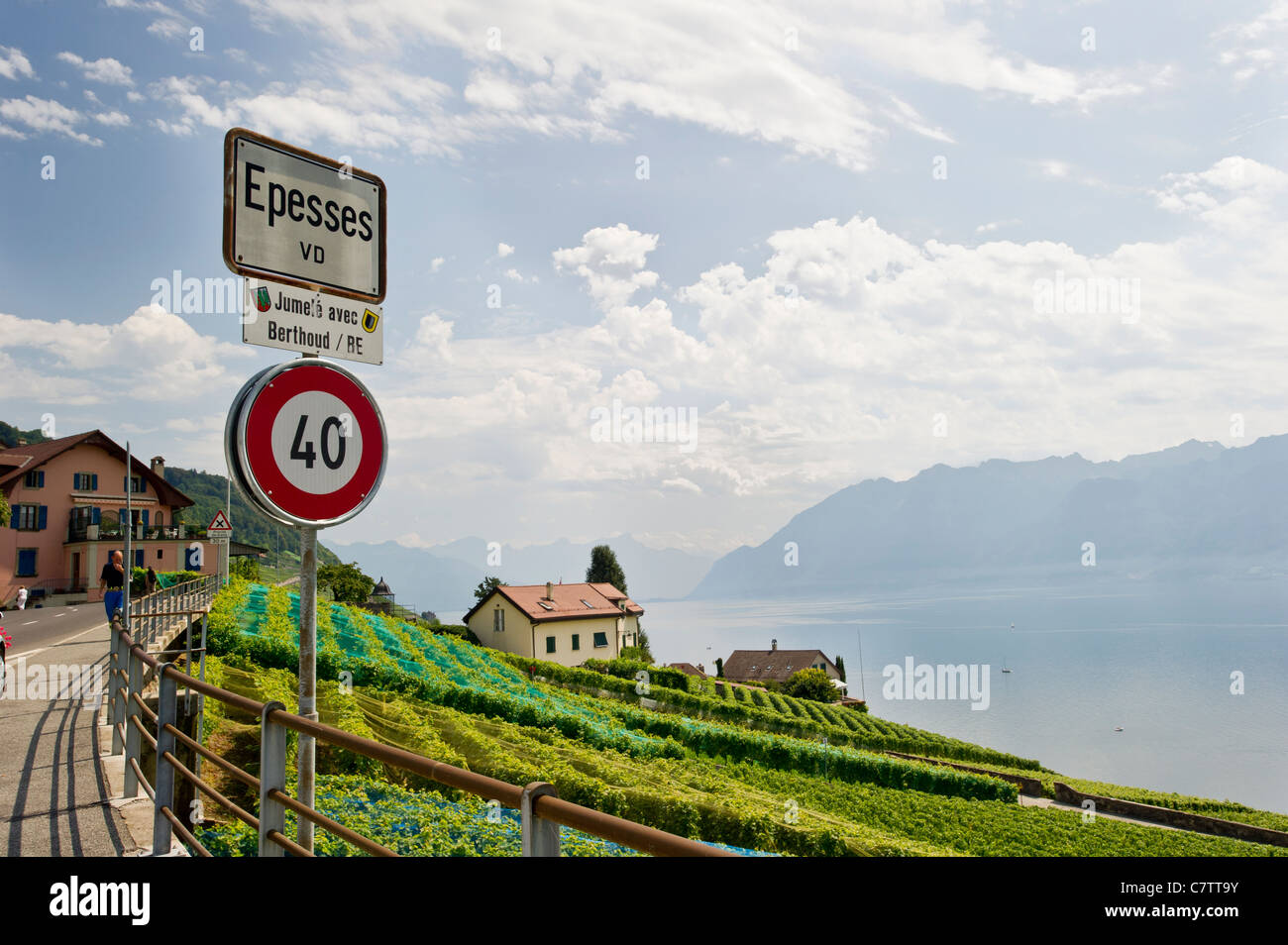 Epesses, Swiss canton of Vaud located on lake Geneva noted for Swiss ...