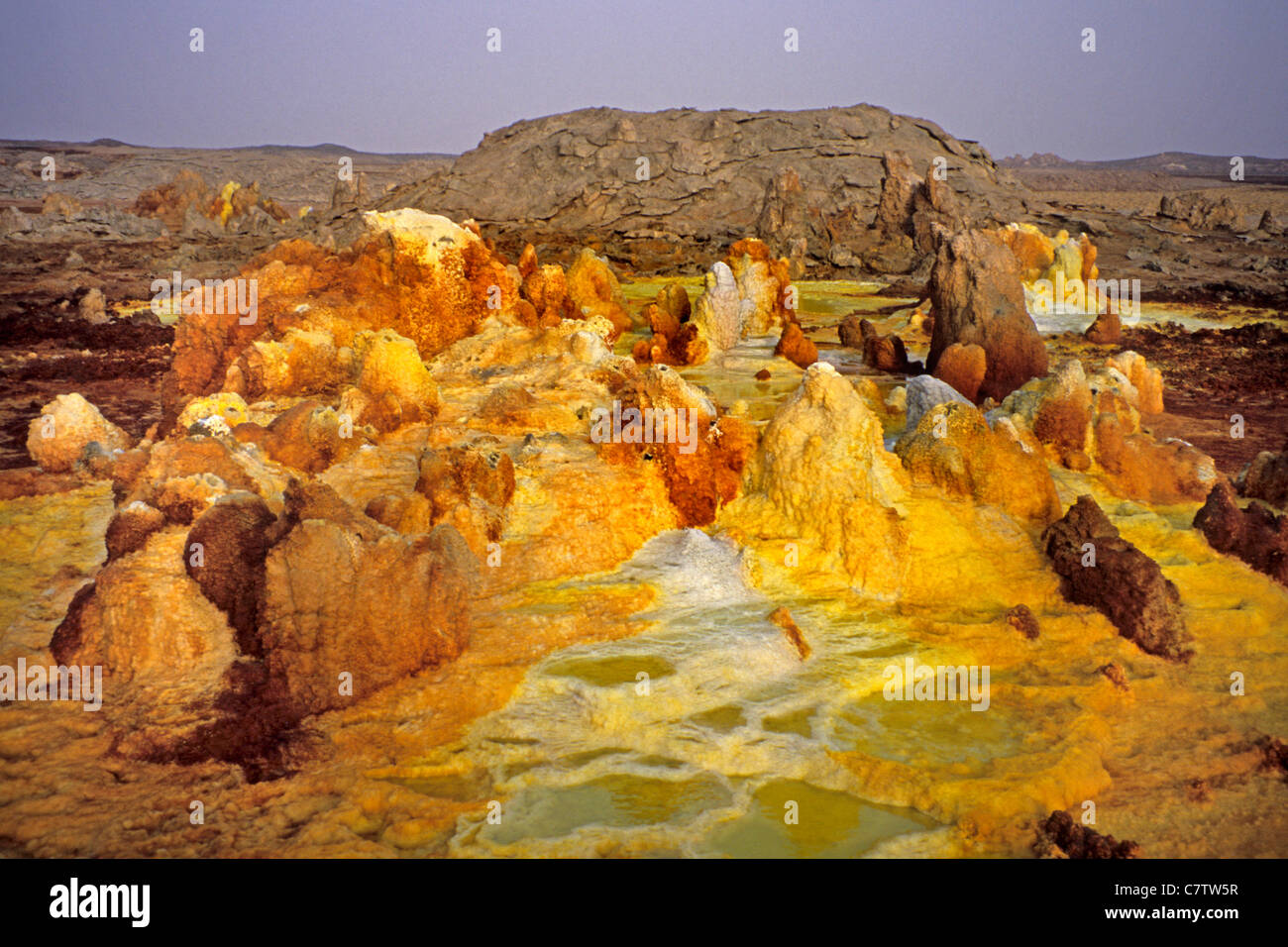 Dancalia hi-res stock photography and images - Alamy