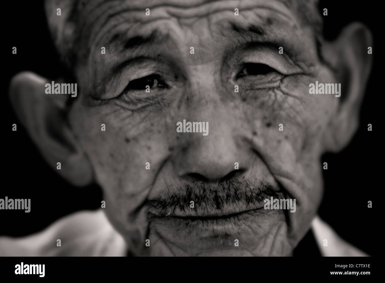 Portrait of a chinese man Stock Photo - Alamy