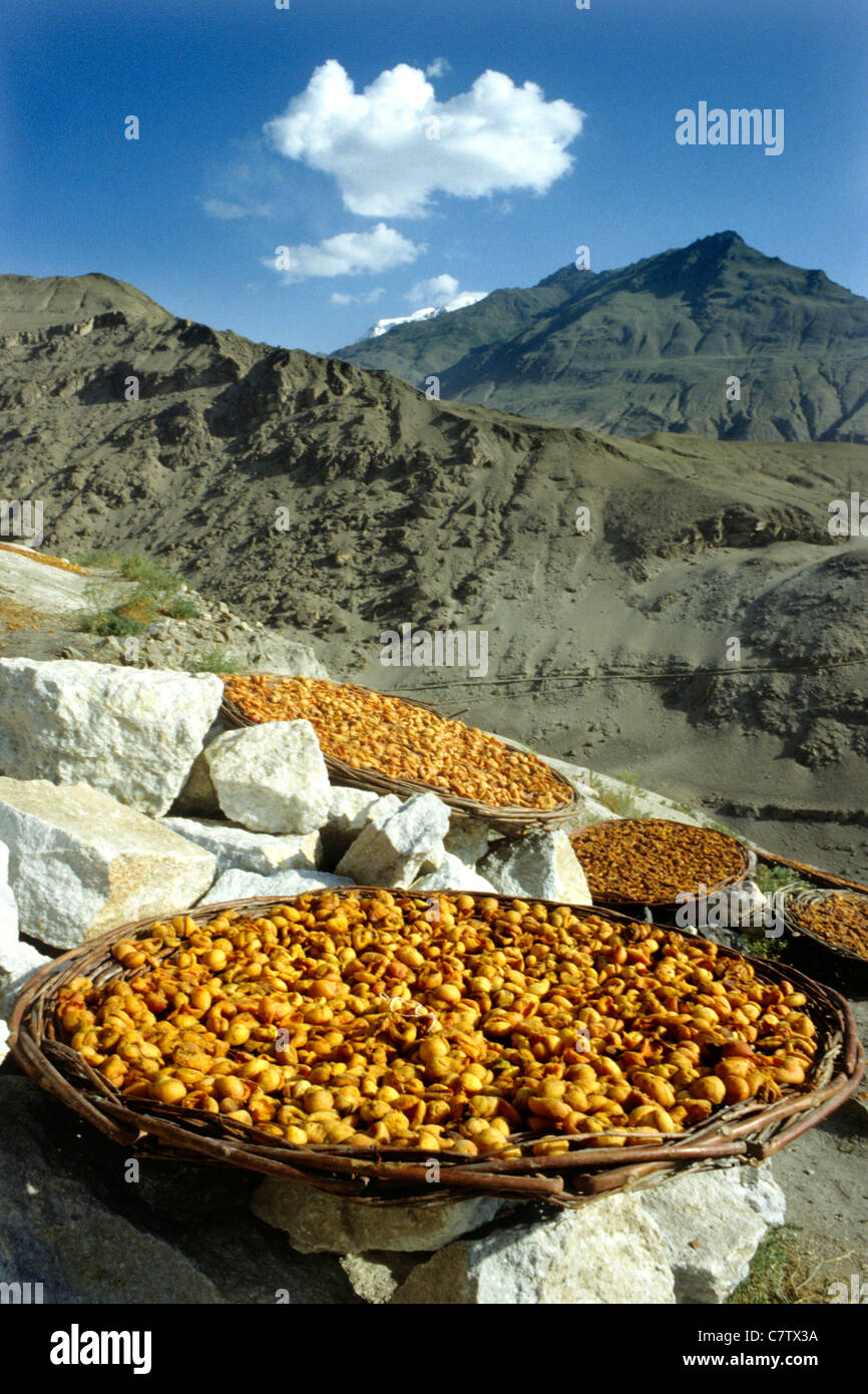 Hunza apricots pakistan hi-res stock photography and images - Alamy