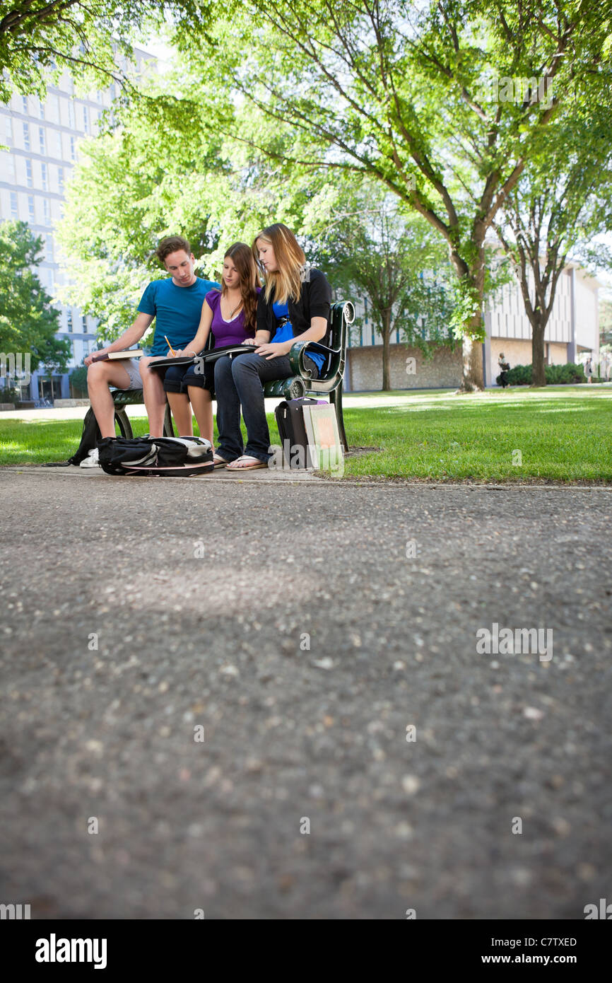Students completing assignment at university campus Stock Photo - Alamy