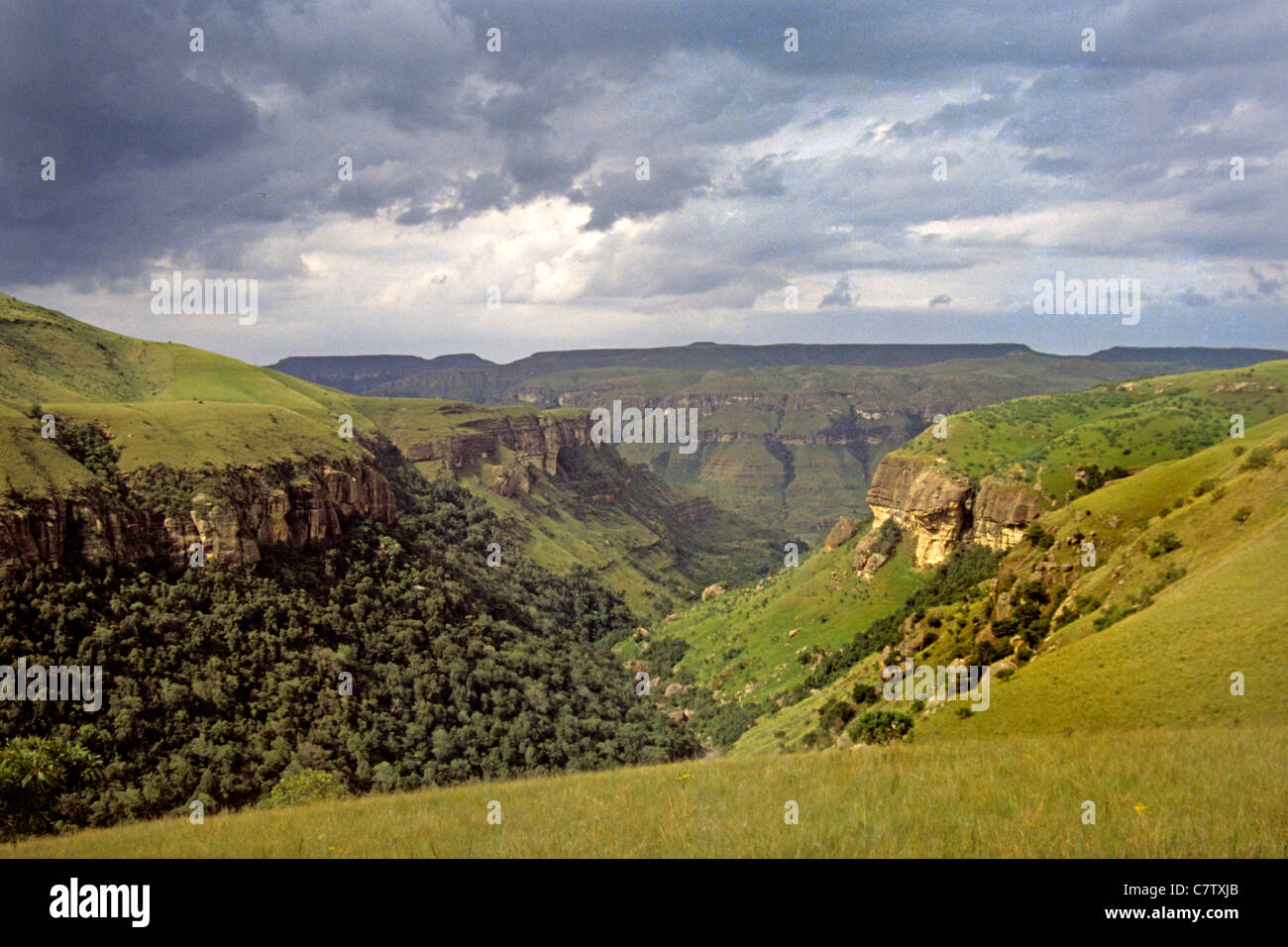 Africa, South Africa, landscape Stock Photo - Alamy