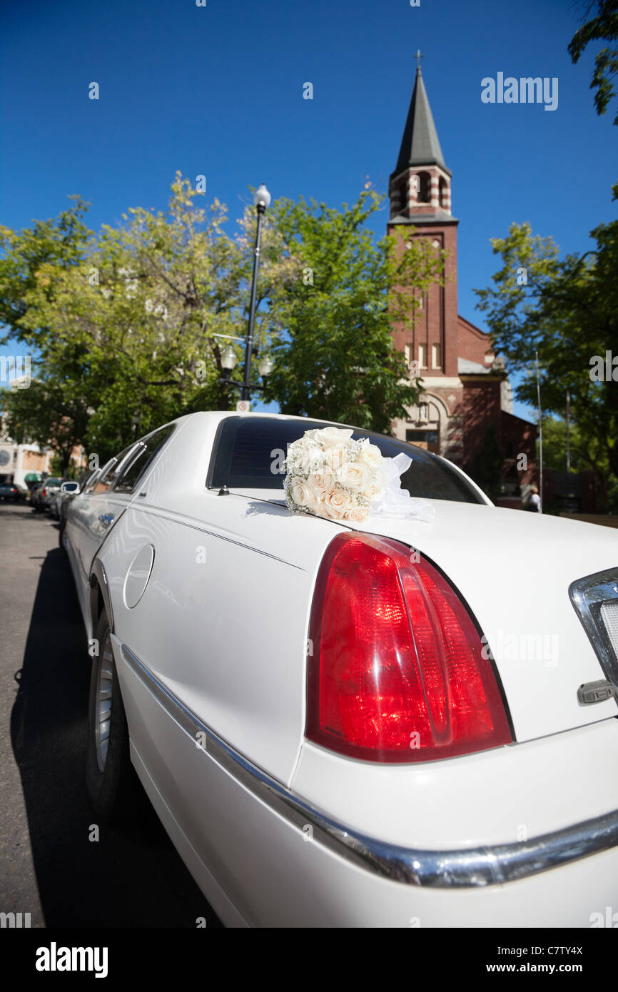 Limo limosine flower hi-res stock photography and images - Alamy