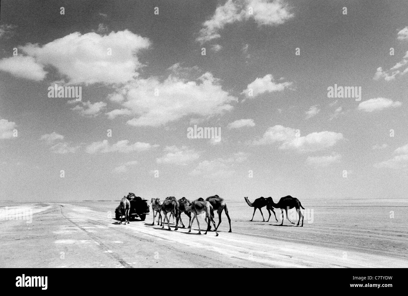 Oman salt basin hi-res stock photography and images - Alamy