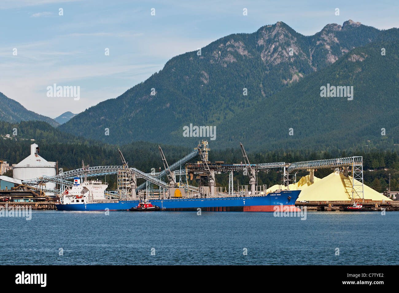 A freighter, "Asian Wind", docks at Vancouver Wharves bulk cargo ...