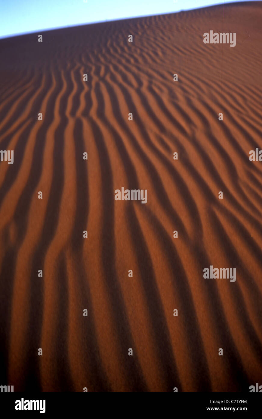 A soaring dune in the Sharqiya Sands interior Oman Stock Photo - Alamy