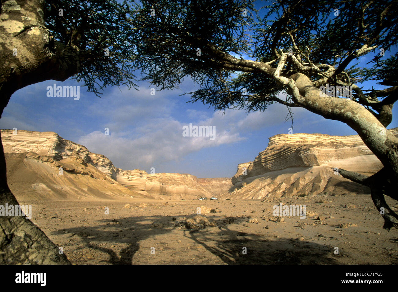 Oman, landscape near Al Khalifah salt basin Stock Photo - Alamy