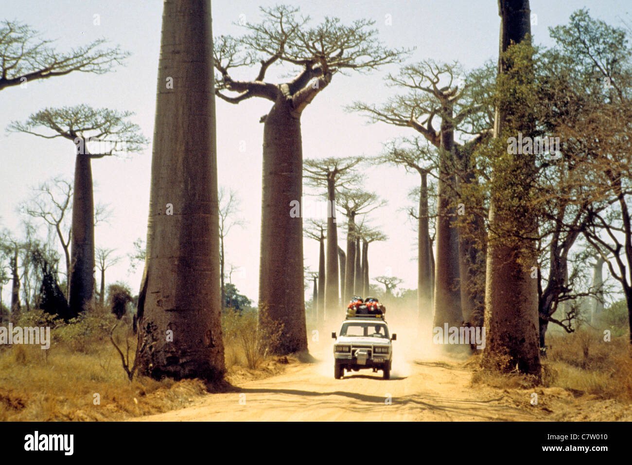 Africa african madagascar madagascan hi-res stock photography and ...