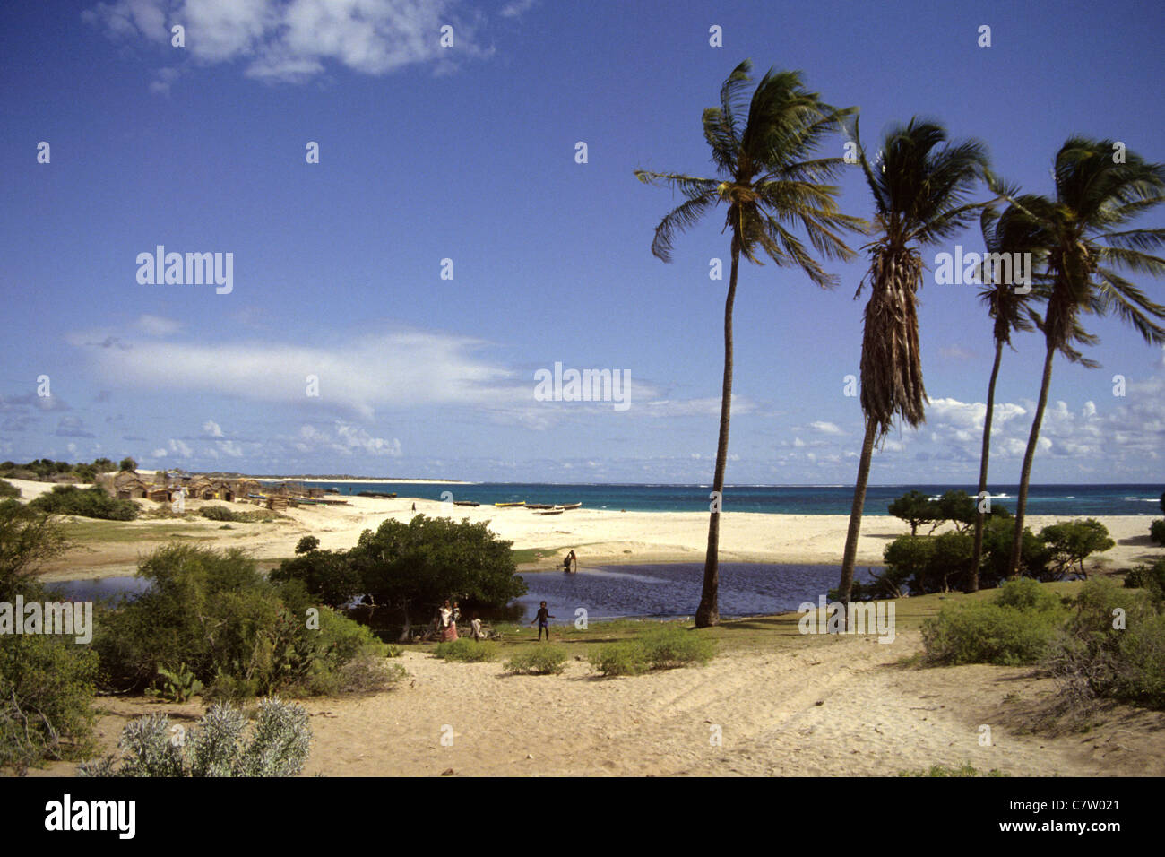Africa, Madagascar, Ifaty Stock Photo - Alamy
