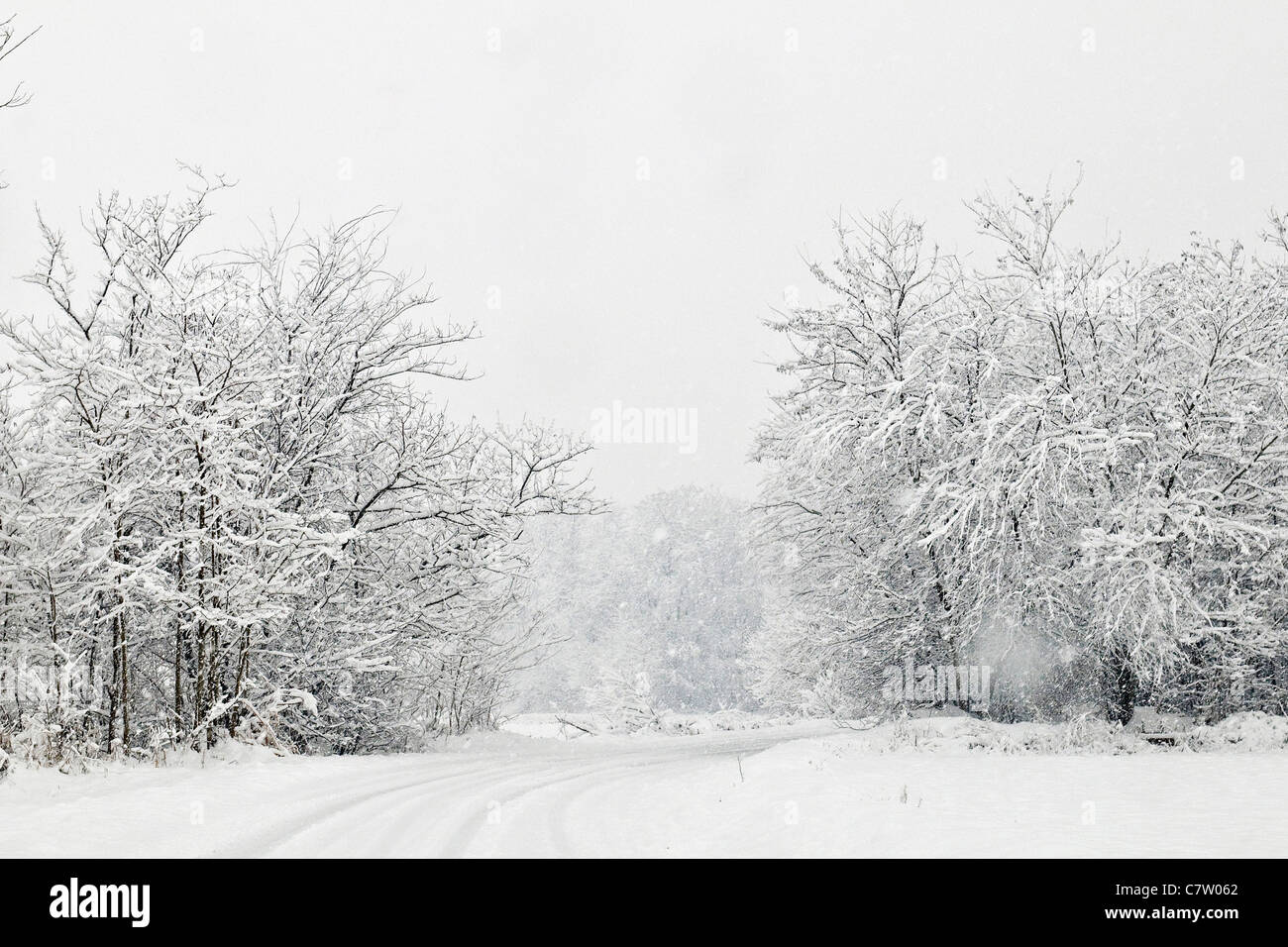 Snowfall images hi-res stock photography and images - Alamy
