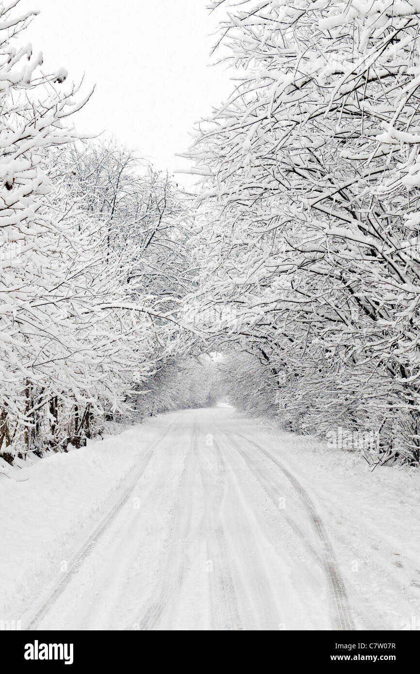 Snowfall images hi-res stock photography and images - Alamy