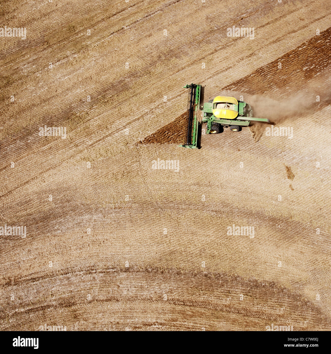 Lentil field hi-res stock photography and images - Alamy