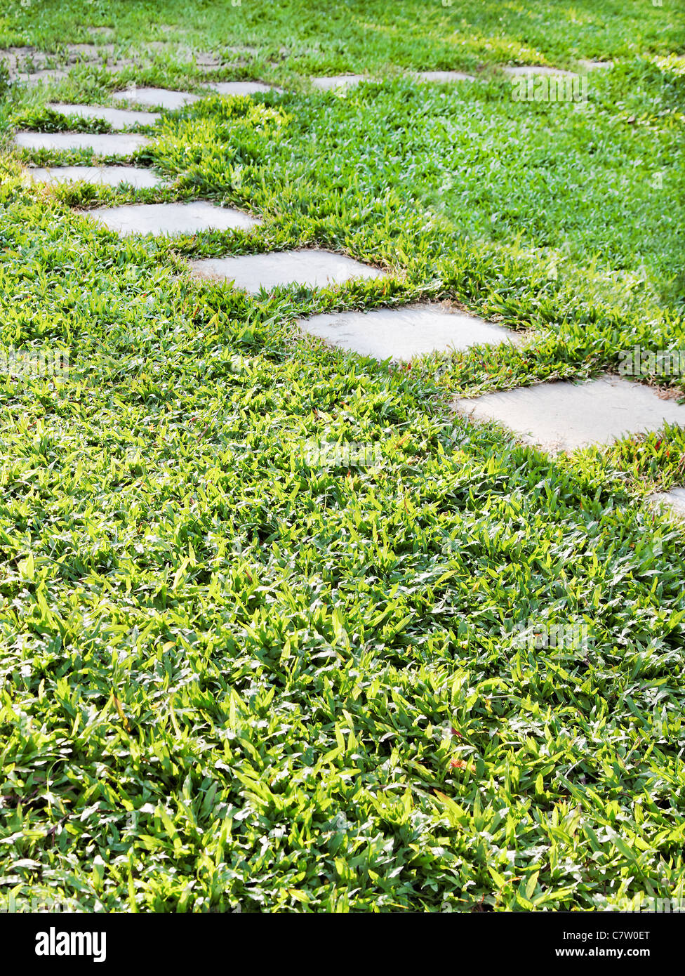 Vertical portrait of lush green natural non grass lawn with stepping ...