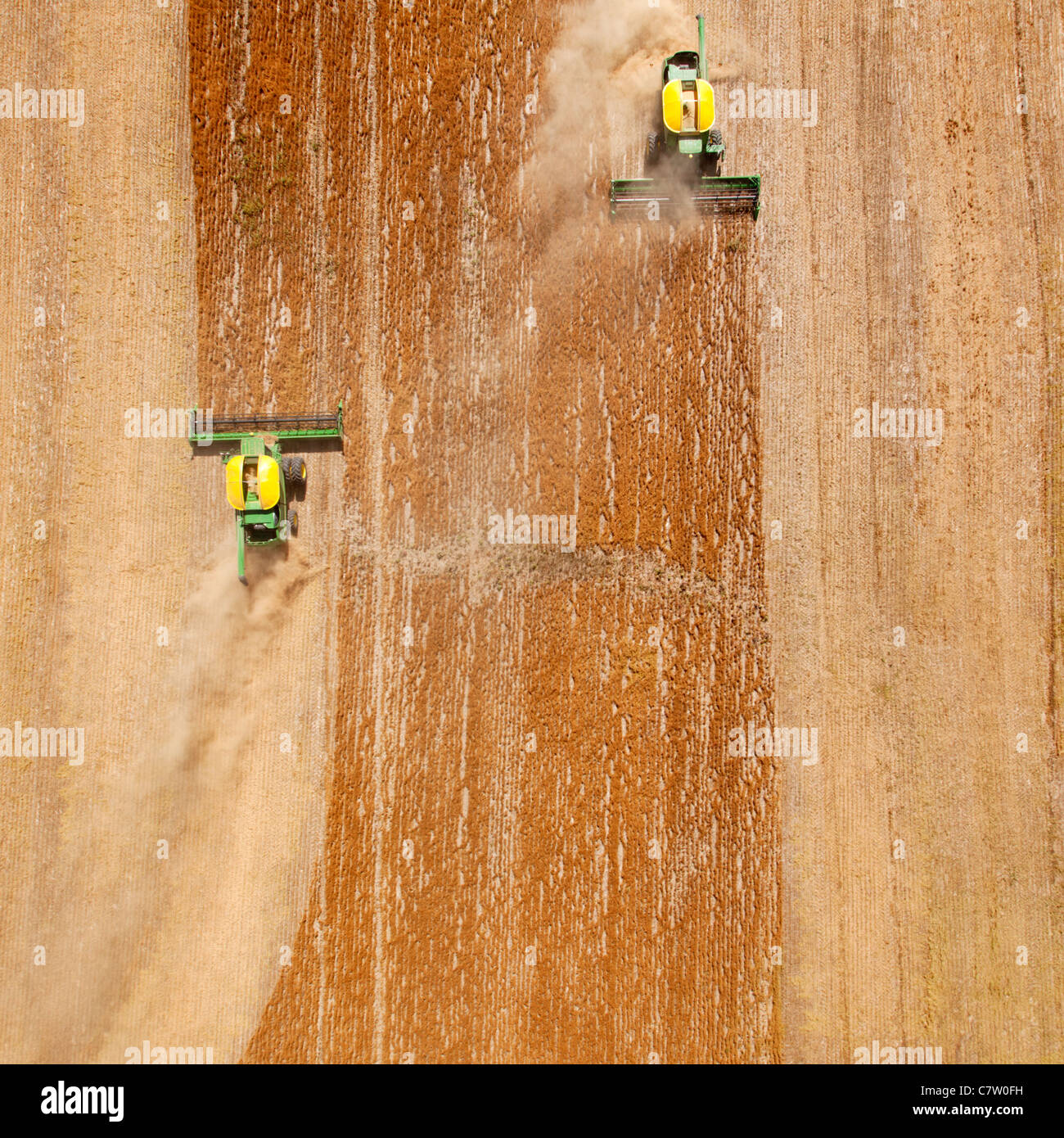 Lentil field hi-res stock photography and images - Alamy