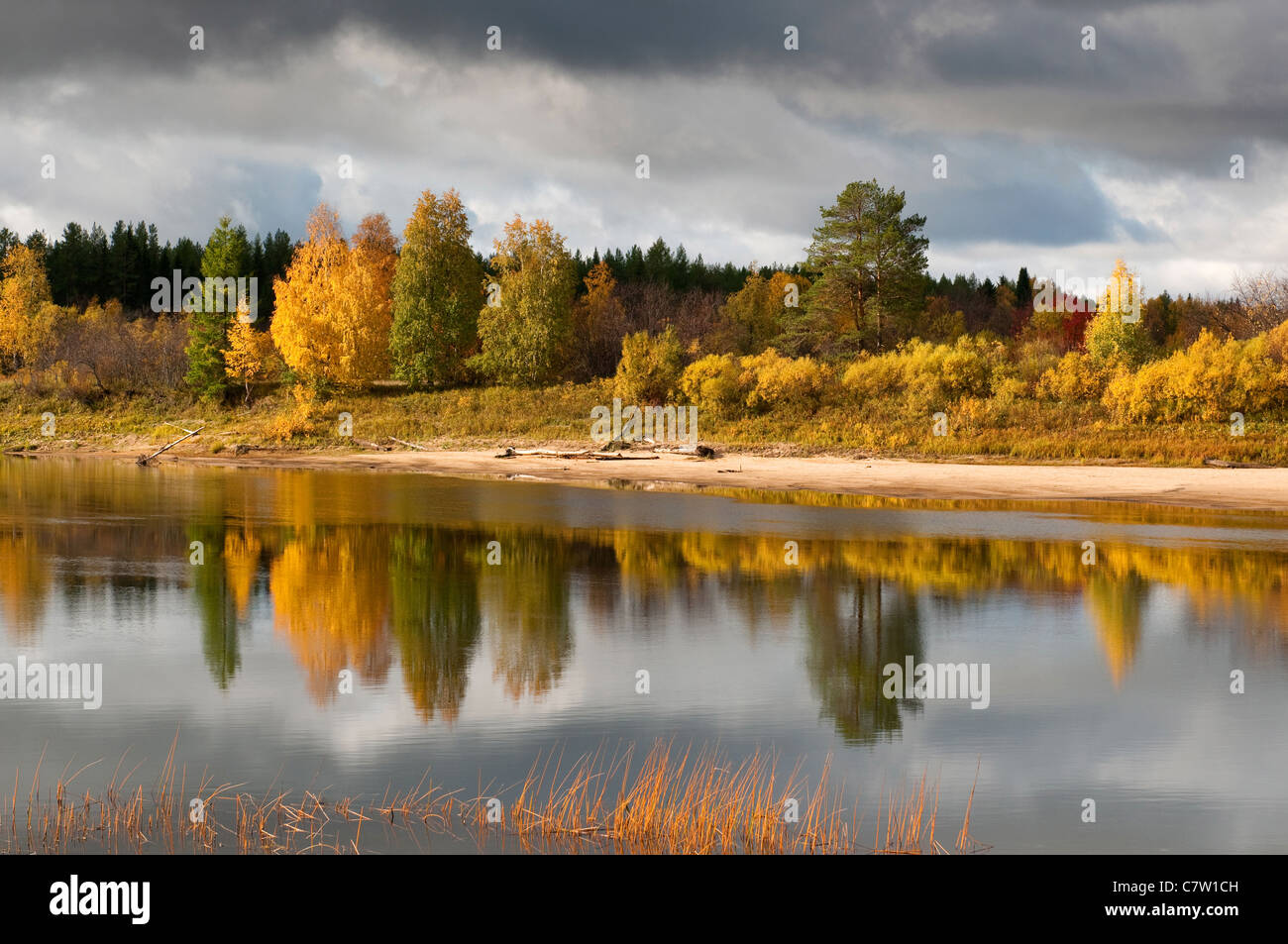 River in taiga (boreal forest) in Komi region, northern Russia Stock ...