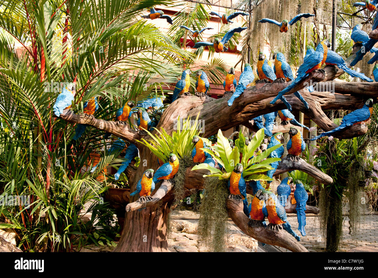 Macaw macaws hi-res stock photography and images - Alamy