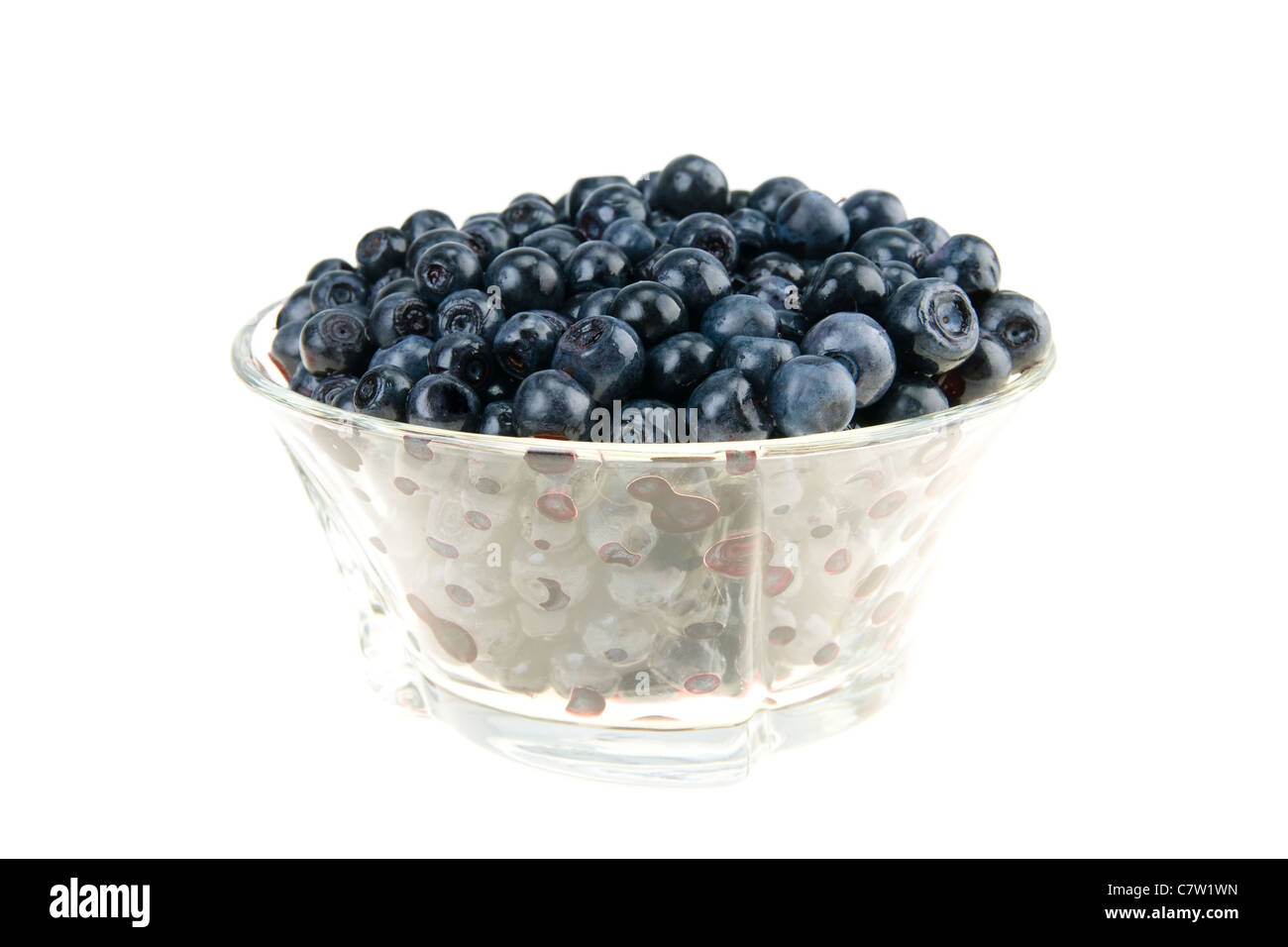 Blueberry plant Cut Out Stock Images & Pictures - Alamy