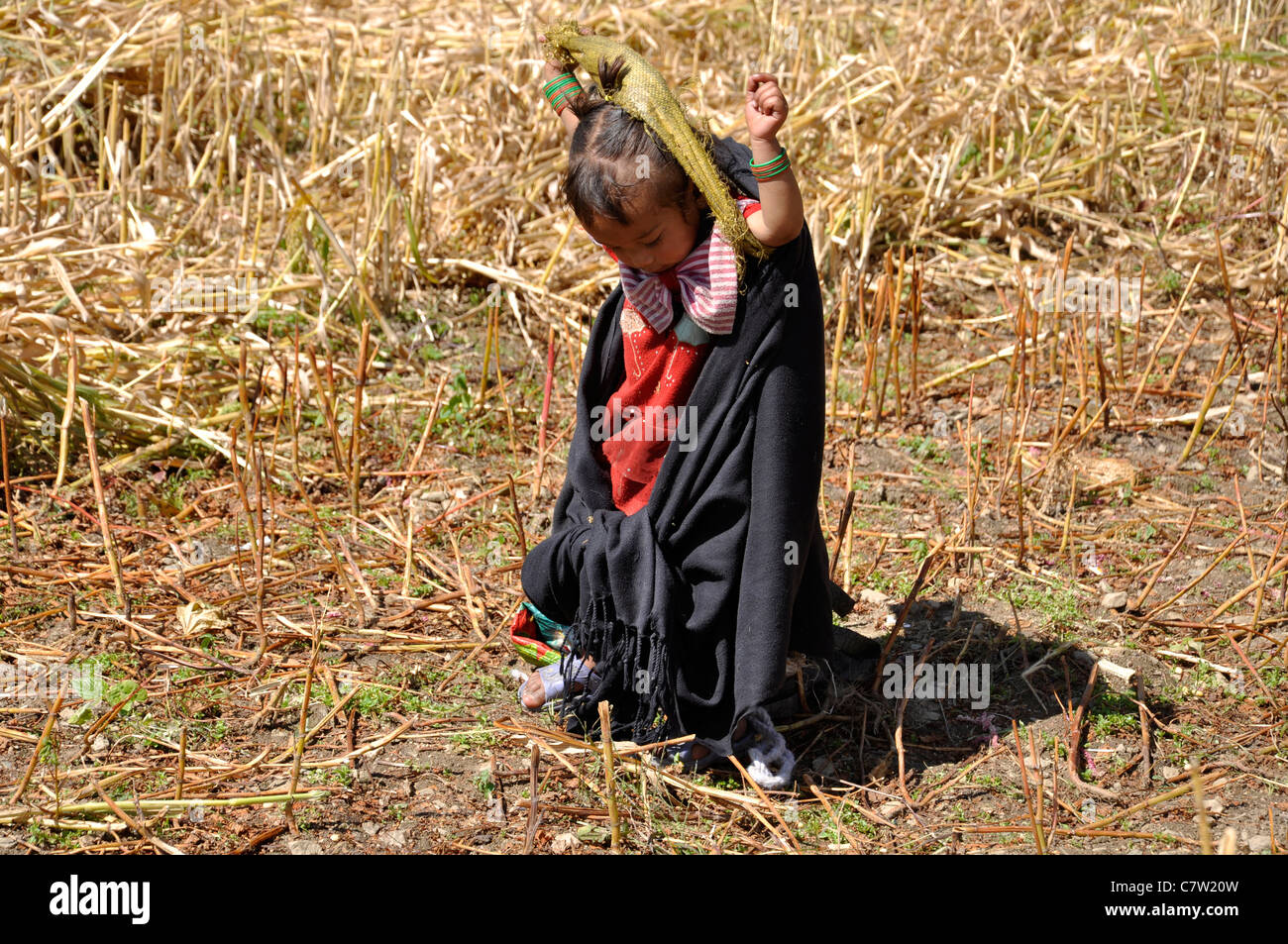 A Humla kid in buckwheat field Stock Photo - Alamy