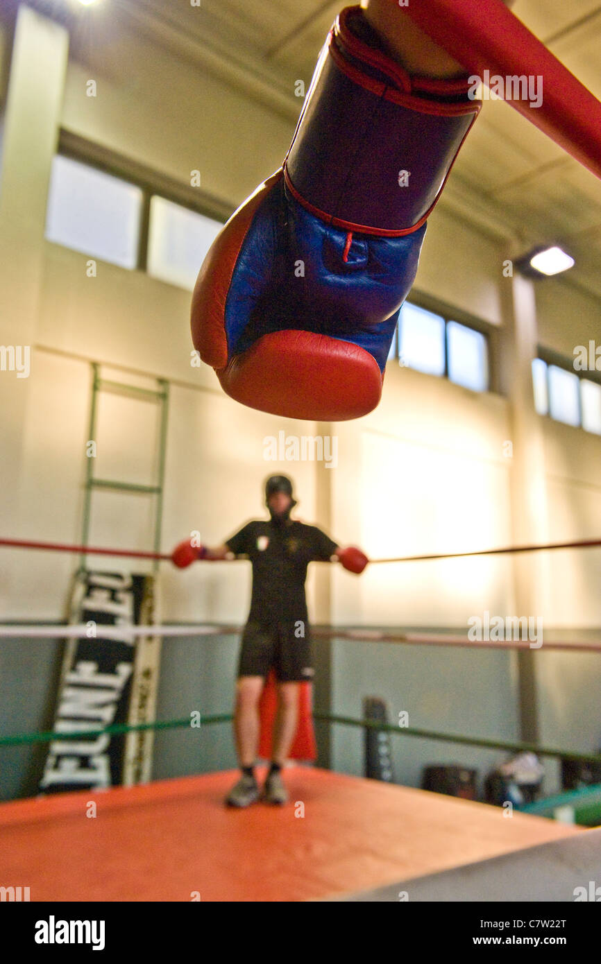 Boxers sports hi-res stock photography and images - Alamy