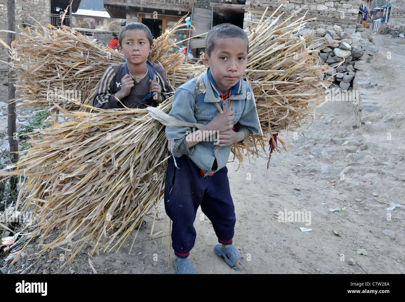 Humla valley hi-res stock photography and images - Alamy