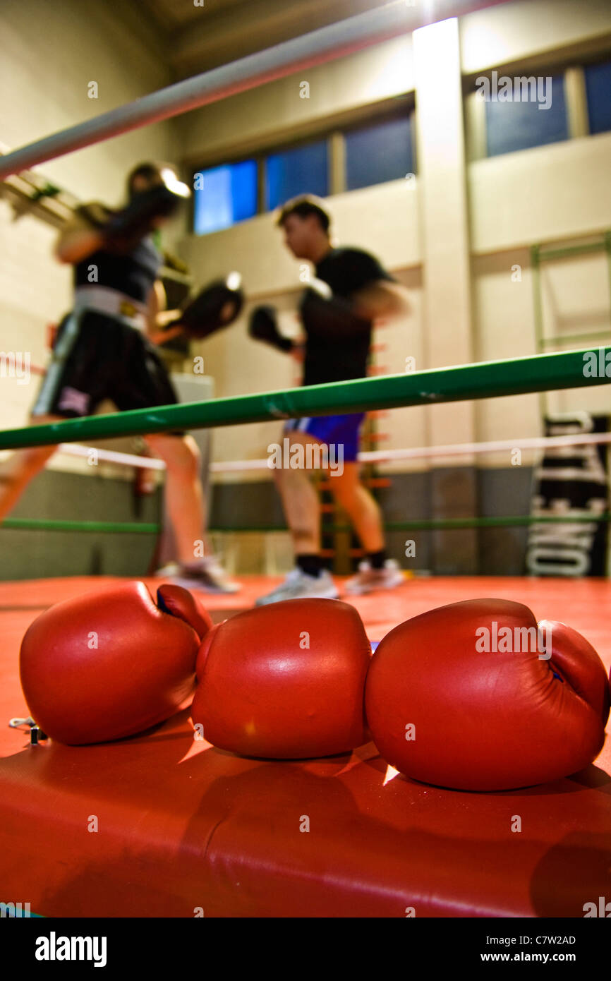 Boxers hi-res stock photography and images - Alamy