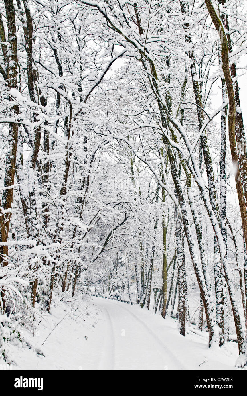 Snowfall images hi-res stock photography and images - Alamy