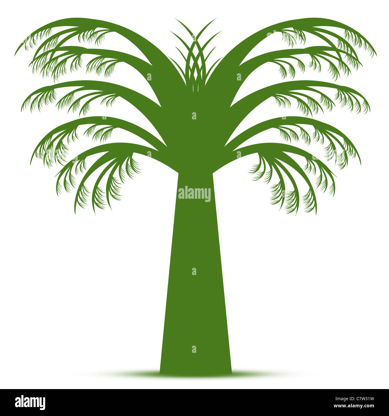 Abstract palm tree isolated on white background Stock Photo - Alamy