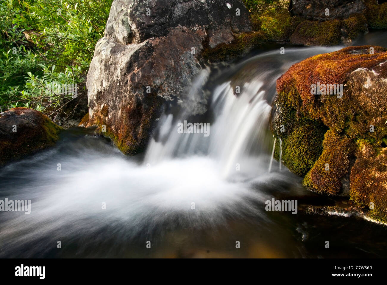 Flowing water of beautiful mountain stream Stock Photo - Alamy